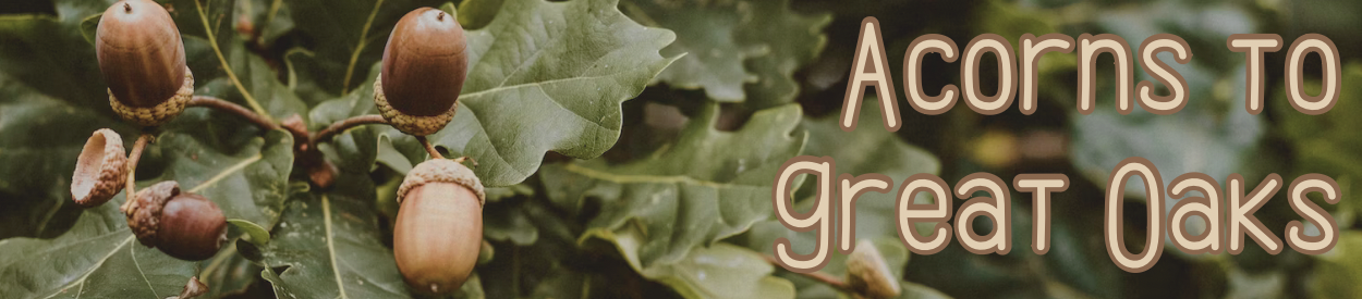 Acorns to Great Oaks